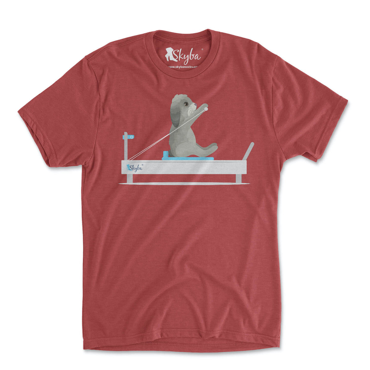 Rabbit on the Reformer - Tri-Blend Unisex Tee